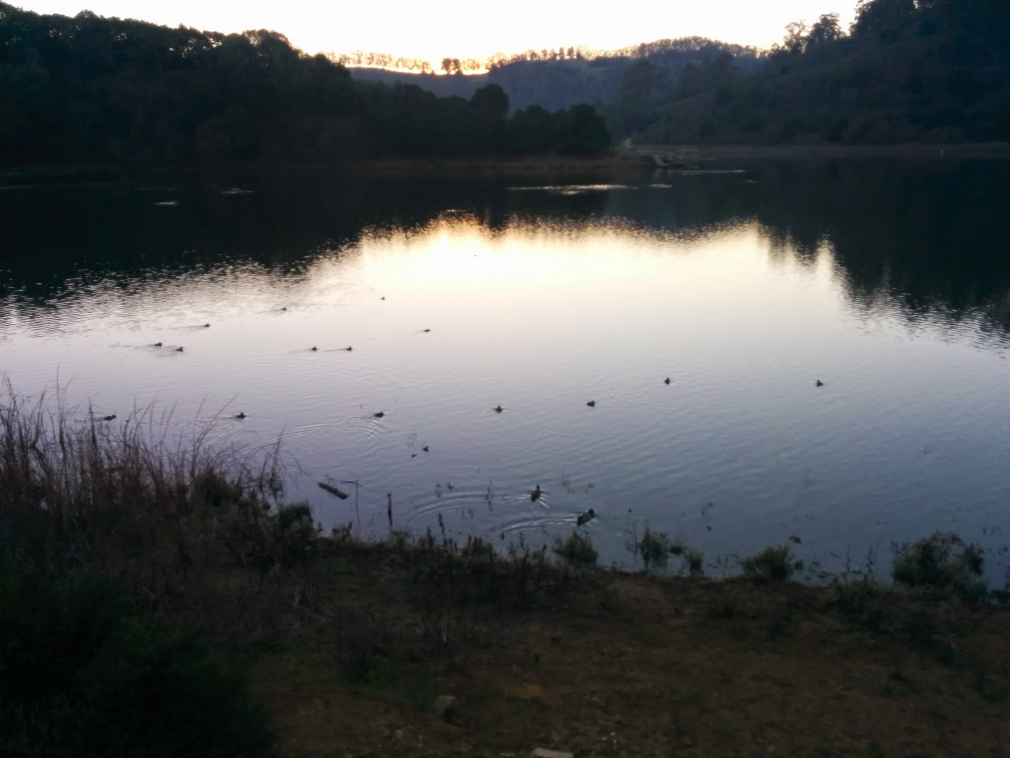 Lake Chabot Loop – Pacific Coast Trails