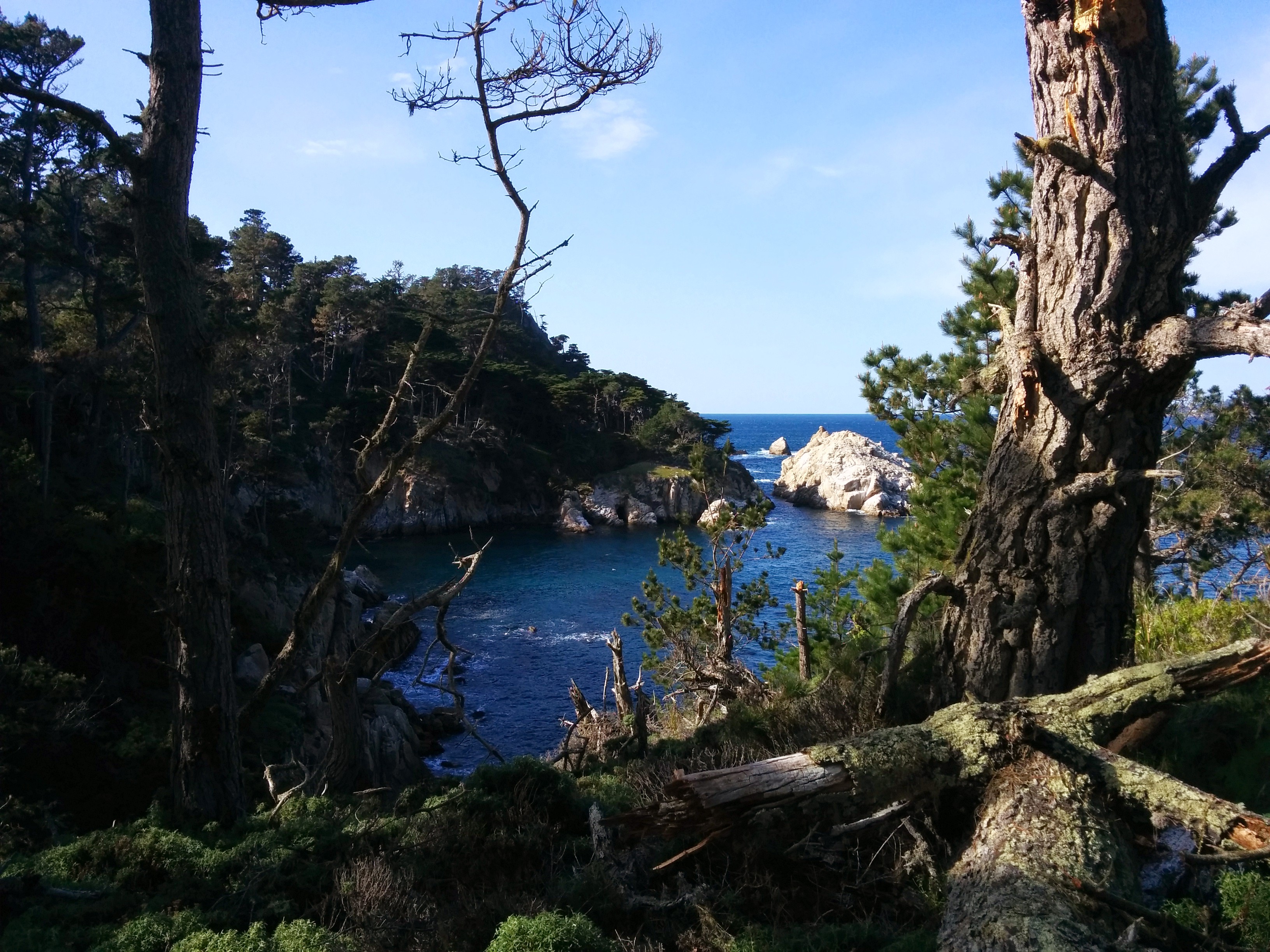 Point Lobos Loop – Pacific Coast Trails